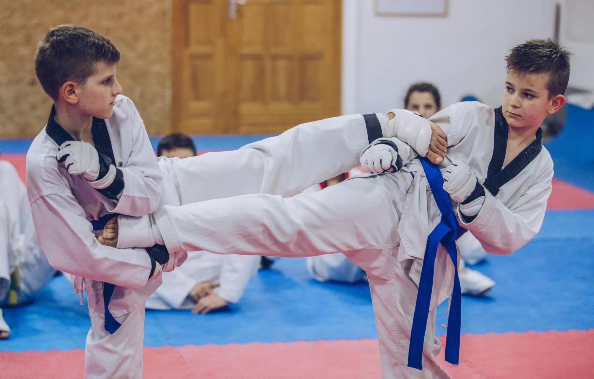 Best Martial Art - Ultimate Fighting Styles for Self-Defense – Bravo