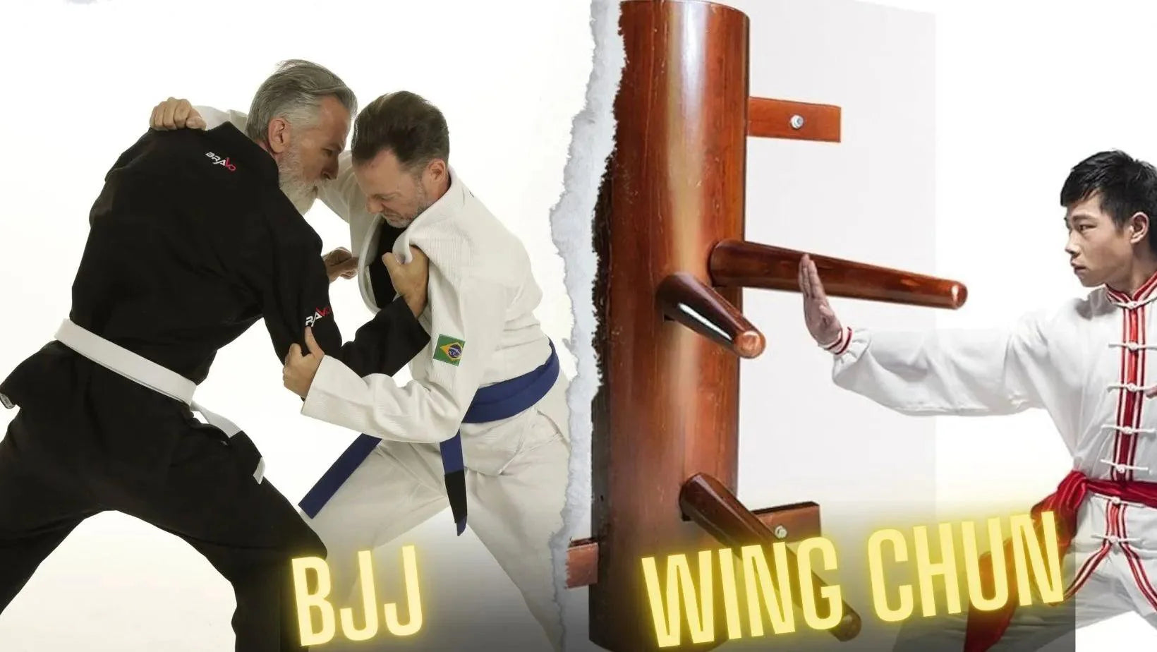 Wing Chun vs Brazilian Jiu Jitsu - Key Differences Explained – Bravo