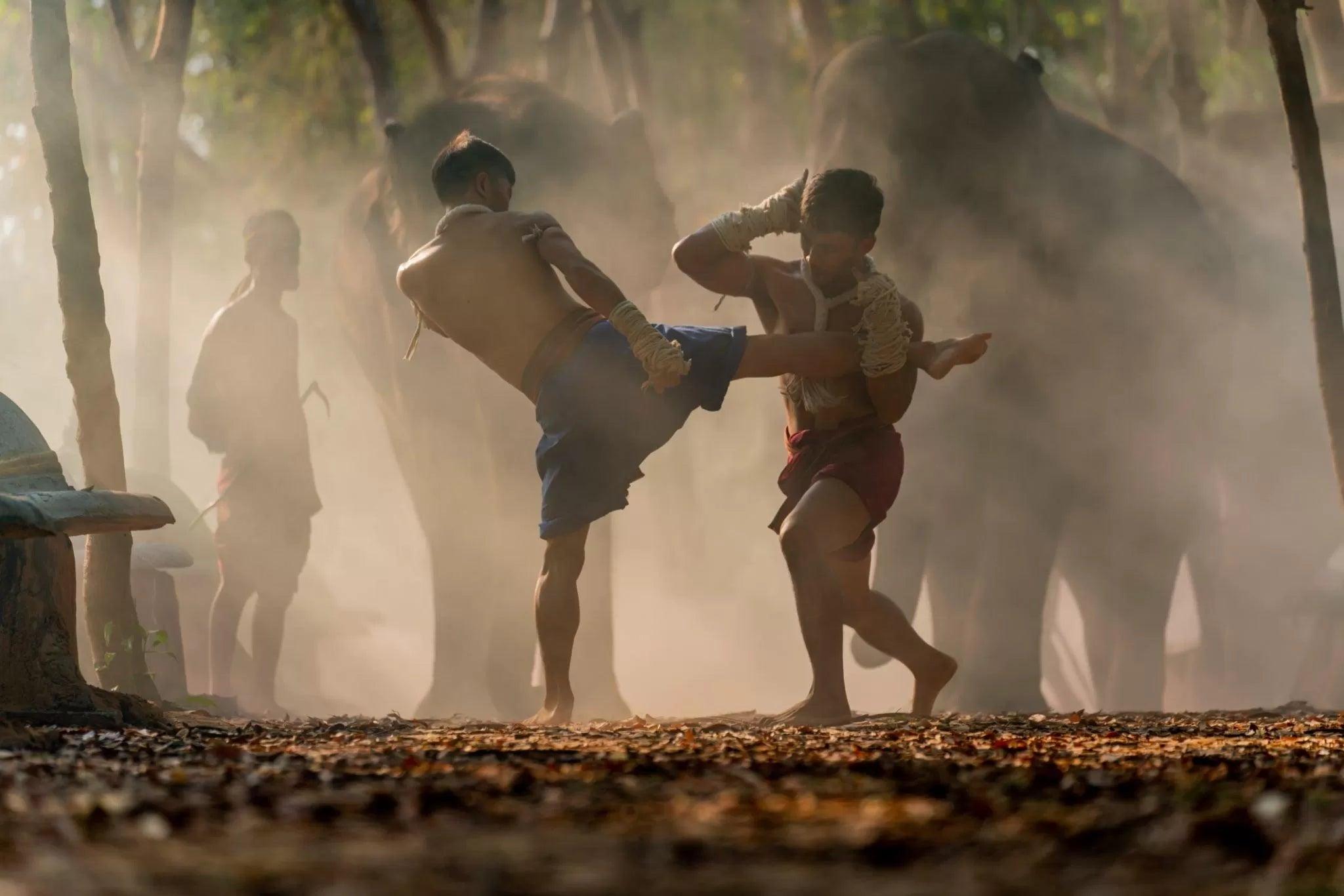 Top 12 Deadliest Martial Arts - Techniques and Traditions – Bravo